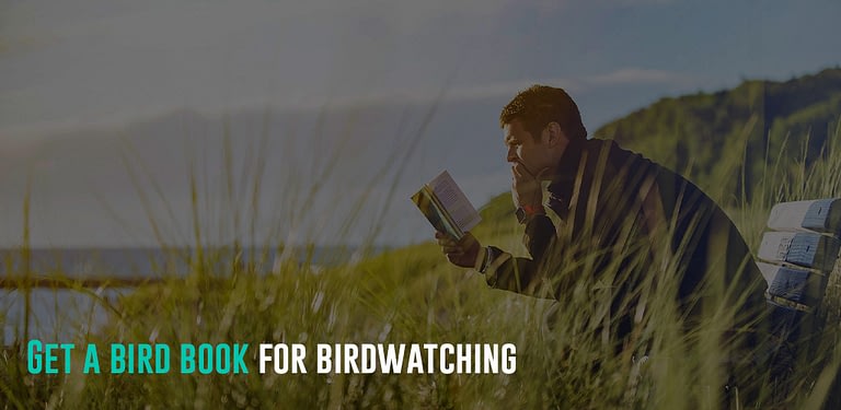 Top Tips for Birdwatching Beginners - Travel-Wise