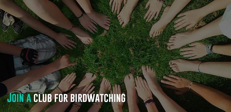 Top Tips for Birdwatching Beginners - Travel-Wise