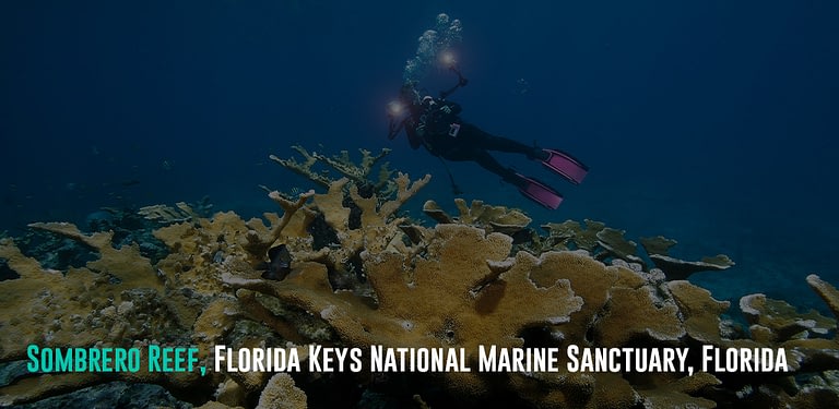 Best Places to Scuba Dive in the USA - Travel-Wise