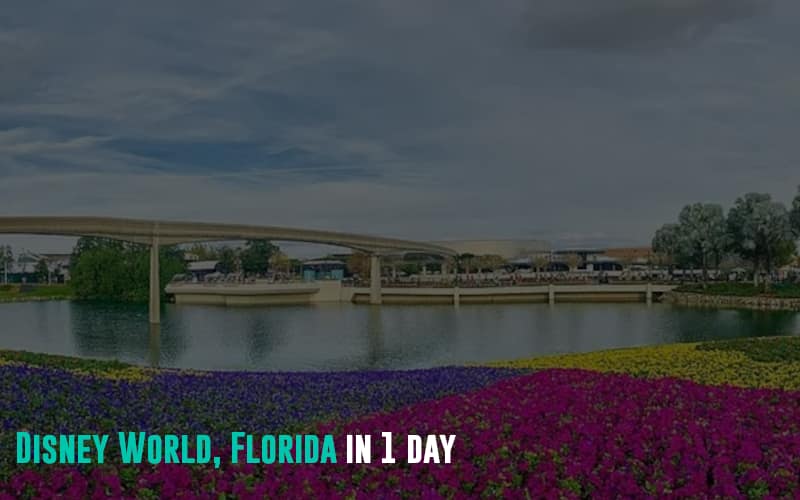 A Super Fun Day Exploring Walt Disney World Resort - Travel-Wise